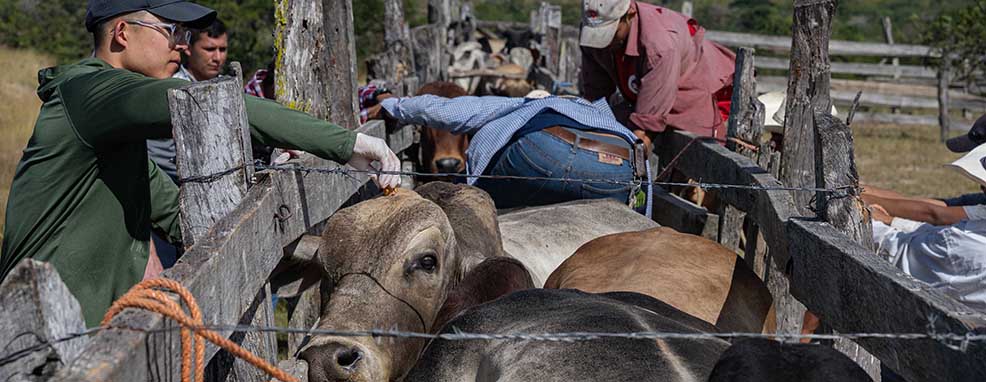 Joint Task Force-Bravo